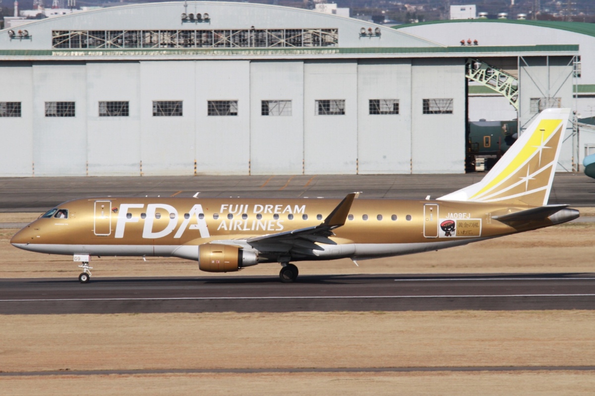 飛行機・航空 キャンペーン | FlyTeam ニュース